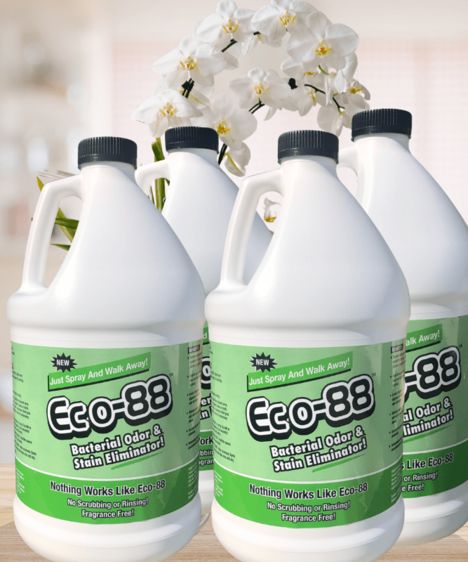 Case – Gallons (4) – Eco88 Brands