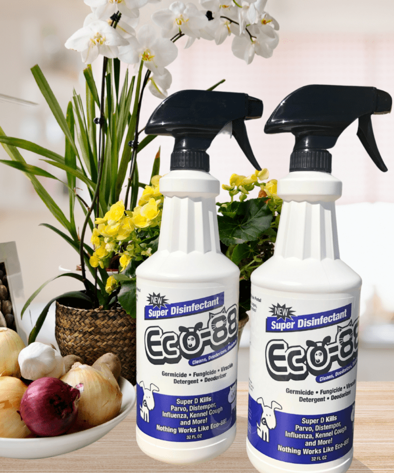 Two Pack – 32oz Spray Bottles – Eco88 Brands